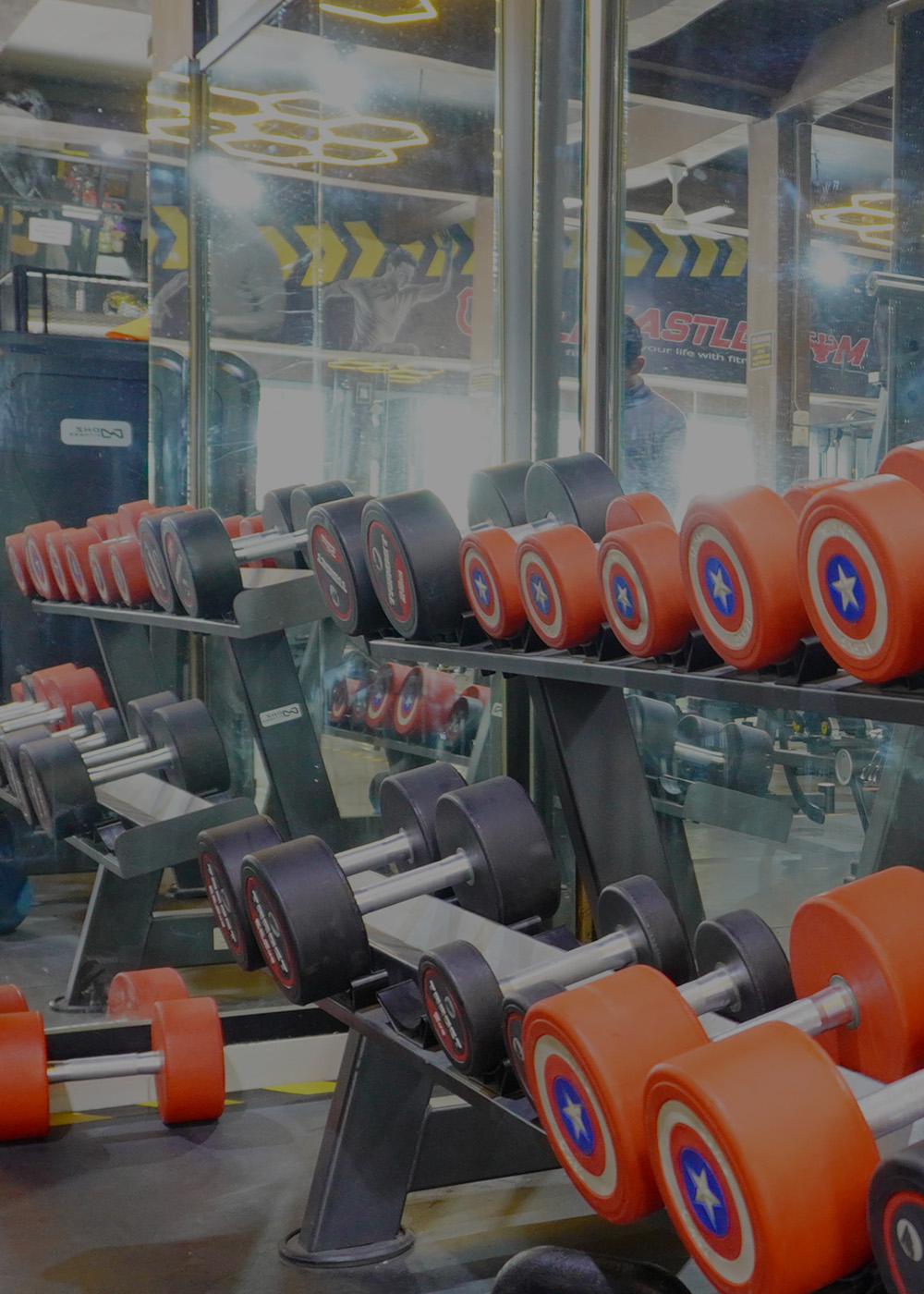 Castle Gym & Fitness